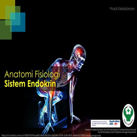 Anatomi dan Fisiologi Sistem Endokrin | PPTX