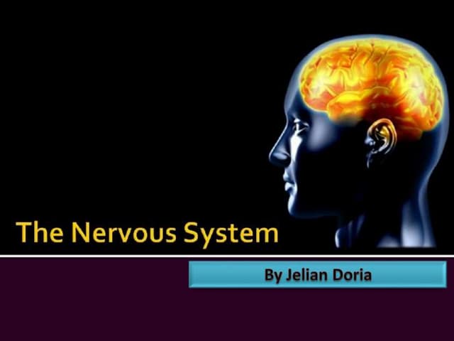 Nervous System Lesson for Grade 6 in Science | PPTX
