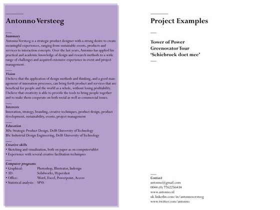 Project Management Examples | PDF