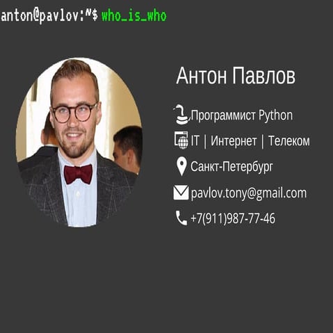 Программист Python | PDF | Programming Languages | Computing