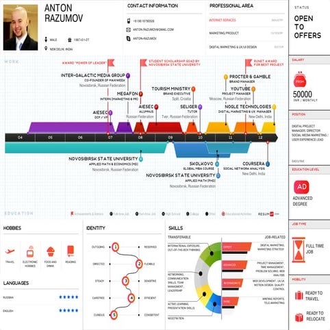 Infographic CV | PDF