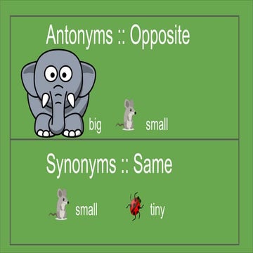 Synonym and Antonym PowerPoint | PPTX