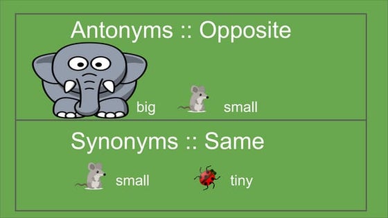 Synonym and Antonym PowerPoint | PPTX