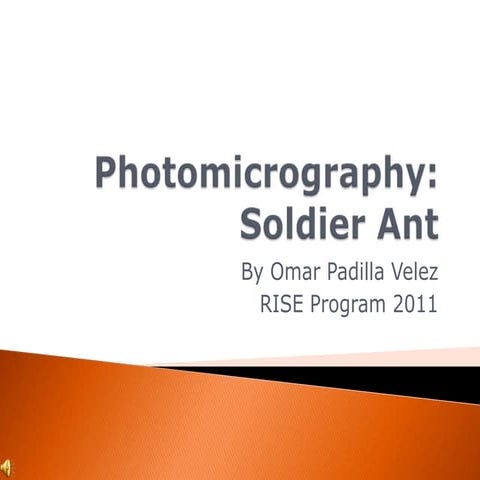 Ant photomicrography | PPTX