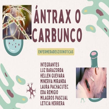 Antrax | PPTX