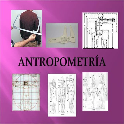 Antropometria imagenes2 | PPT