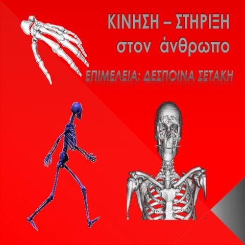 Κινηση- στηριξη στον άνθρωπο | PDF