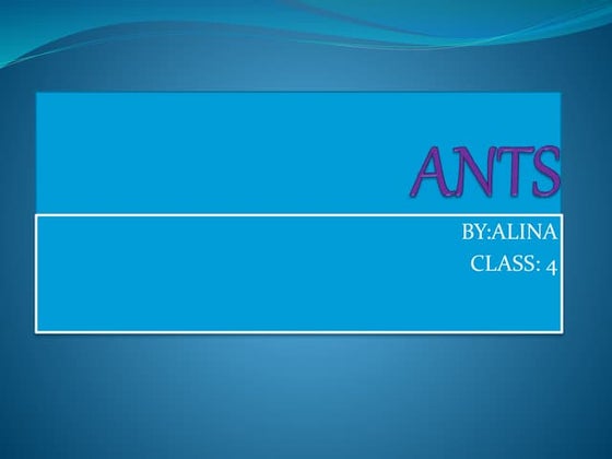 Ant | PPT