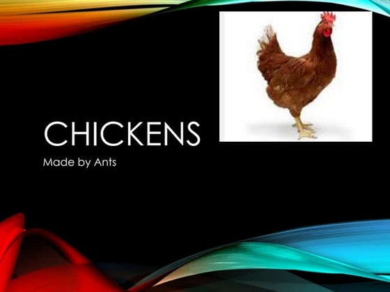 Ocean chicken | PPT