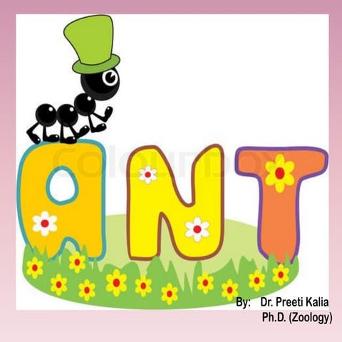 Ants - Social organisation and types of nests | PDF