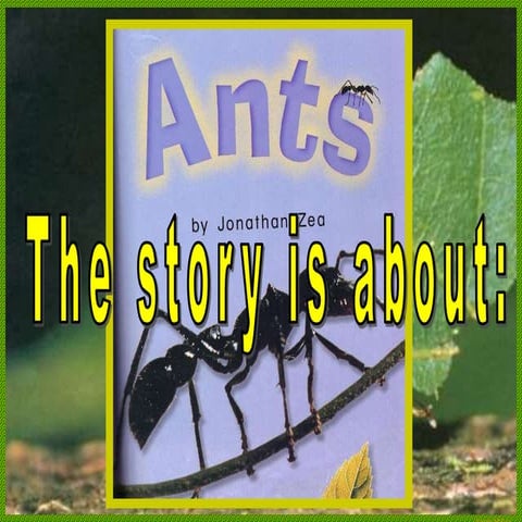 Antscompress.ppt picture story with vocabulary | PPT