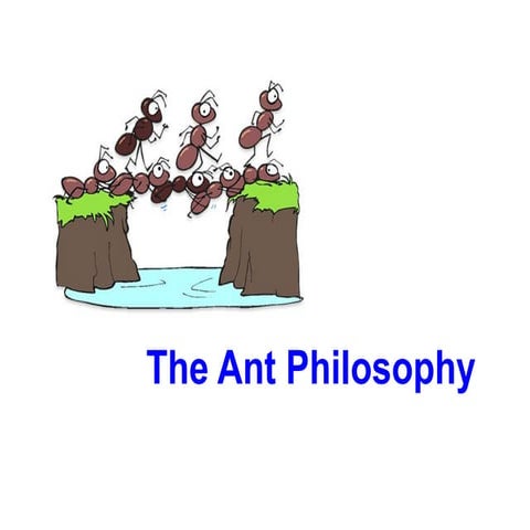 Ants Philosophy for management motivation.pptx