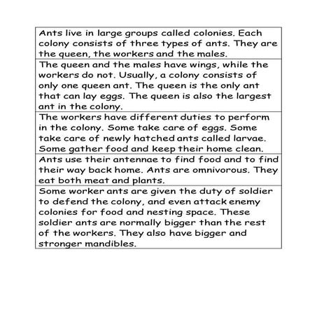 Ants (Reading Text) | DOCX
