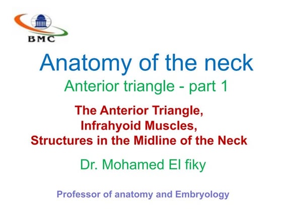 anatomy of Urinary bladder | PPT