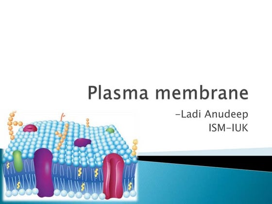 Red cell membrane | PPT