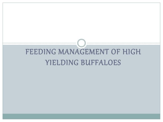 Feed Management.pptx