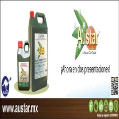 AuStar Mexico | PDF