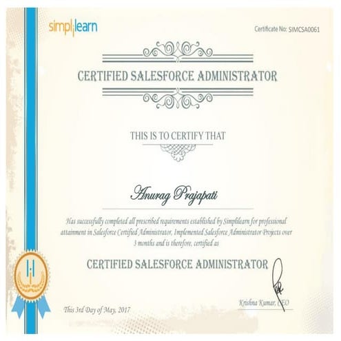 Certified Salesforce Administrator | PDF