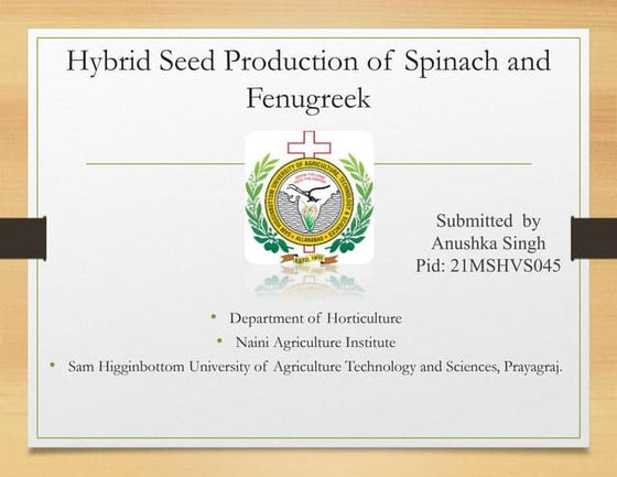 Rouging and its significance | PDF