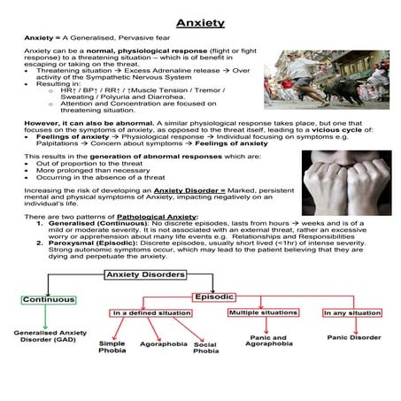 Anxiety Disorders | PDF