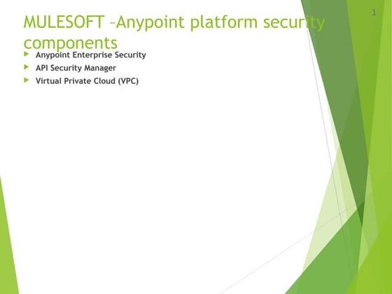 Mule security | PPT