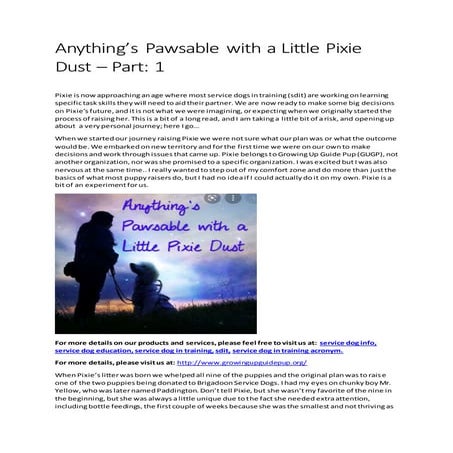 Anything’s pawsable | DOCX