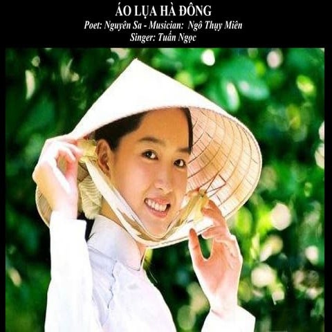 Ao Lua Ha Dong (Ha Dong silk dress) | PPS