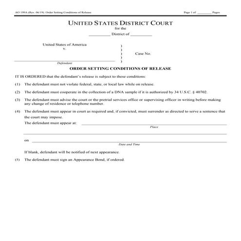 Order Settings Conditions of Release in Federal Court | PDF