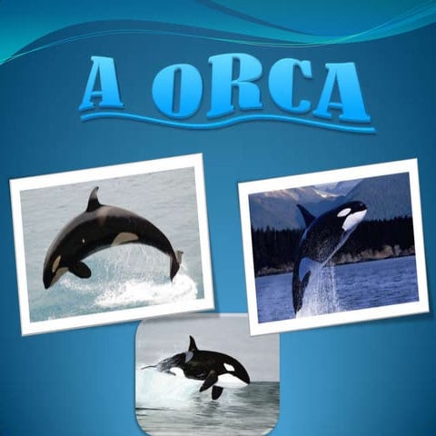 A orca | PPT