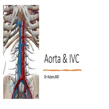 aorta & ivc-compressed pocus slides Malaysia | PDF