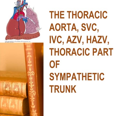 AORTA SVC IVC AZV HAZV TTHRCSMPTHC 2022.ppt