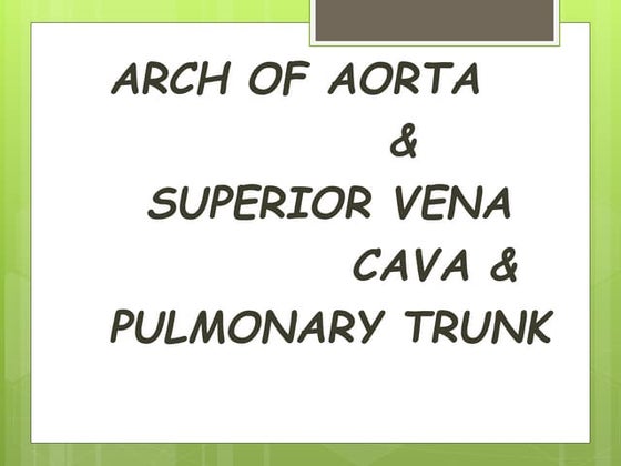 Aorta&its branches . pptx.pptx