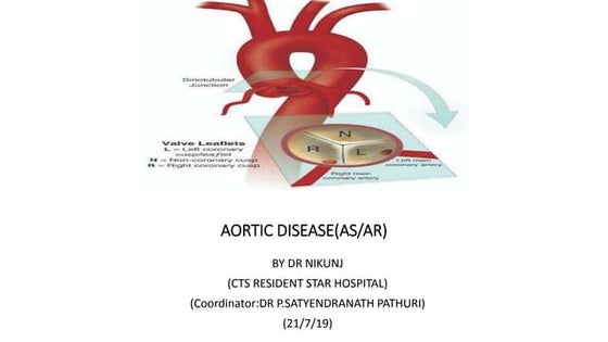 Anatomy of Stomach.pptx