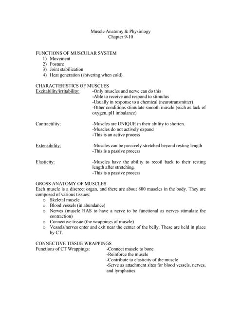 AP-9-Muscle-Anatomy-Physiology.pdfjjjhhh | PDF