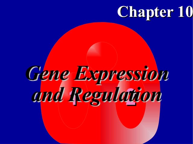 02 The Role of DNA in Protein Synthesis | PPT
