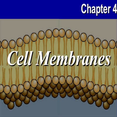 Ap Bio Ch 5 Power Point | PPT