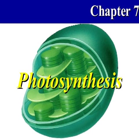 Ap Bio Ch7 Power Point | PPT | Chemistry | Science