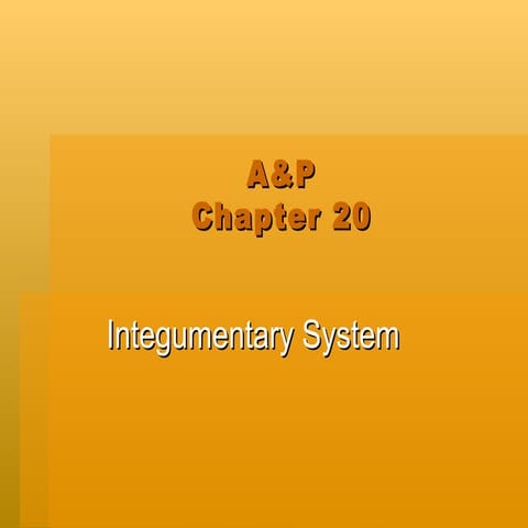 A&P Integumentary | PPT