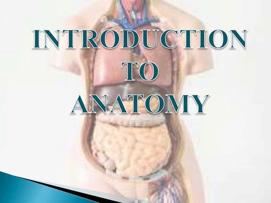 Basic anatomical terminology | PPT