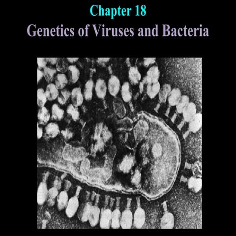 Ap 18 genetics_of_viruses_and_bacteria | PPT