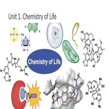 AP 2024 Unit 1 Updated Chemistry of Life | PPTX