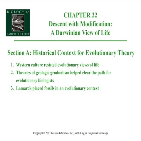 ap22-Descent With Modification.ppt