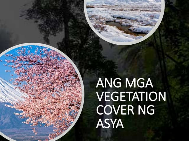 Vegetation cover ng asya ( behetasyon) | PPTX