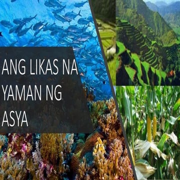Yamang Likas MGA LIKAS NA YAMAN NG BANSA