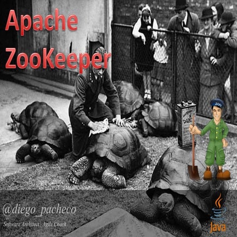 Apache zookeeper | PDF | Zoos & Aquariums | Attractions