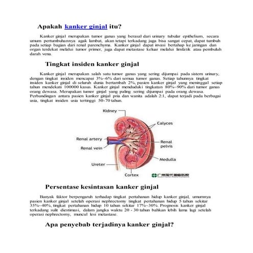 Ca. ginjal | DOCX
