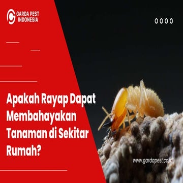 JASA BASMI RAYAP J OGJA | HP 0815-1719-8114 | GARDA PEST BANDUNG | PPT