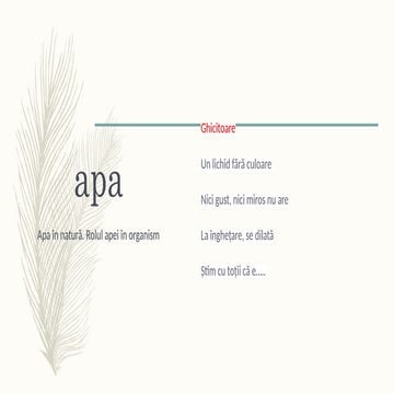 apa_proiect.pptx ...