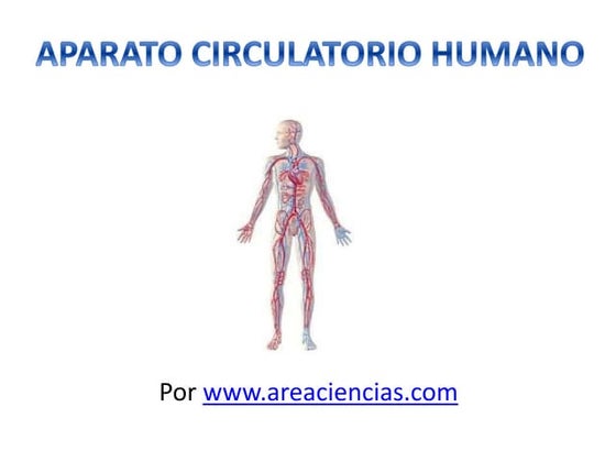 EL CUERPO HUMANO 1.pptx