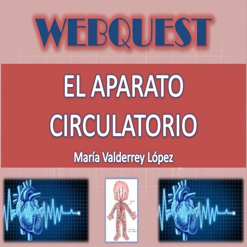 Webquest: Aparato circulatorio | PDF
